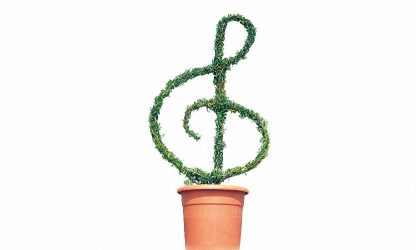 Topiary Treble Clef (Ligustrum Jonandrum) – Garden Plants Online
