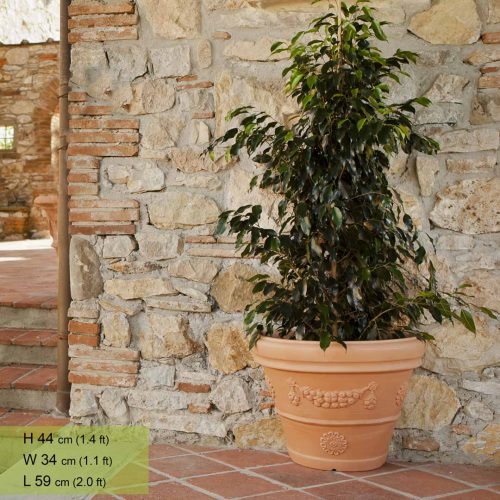 Garlanded Half-sized Pot – Garden Plants Online
