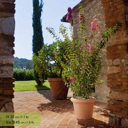 Rustic Style Round Pot – Garden Plants Online