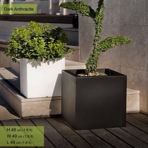 ‘Atlantis’ Planter – Garden Plants Online