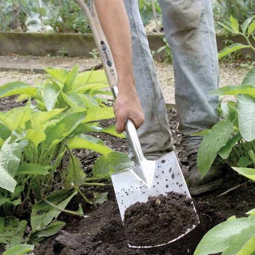 Traditional Stainless Digging Spade – Garden Plants Online