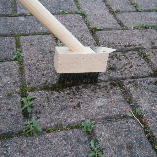 Block Paving Cleaner – Garden Plants Online