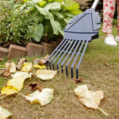 3 in 1 Rake – Garden Plants Online