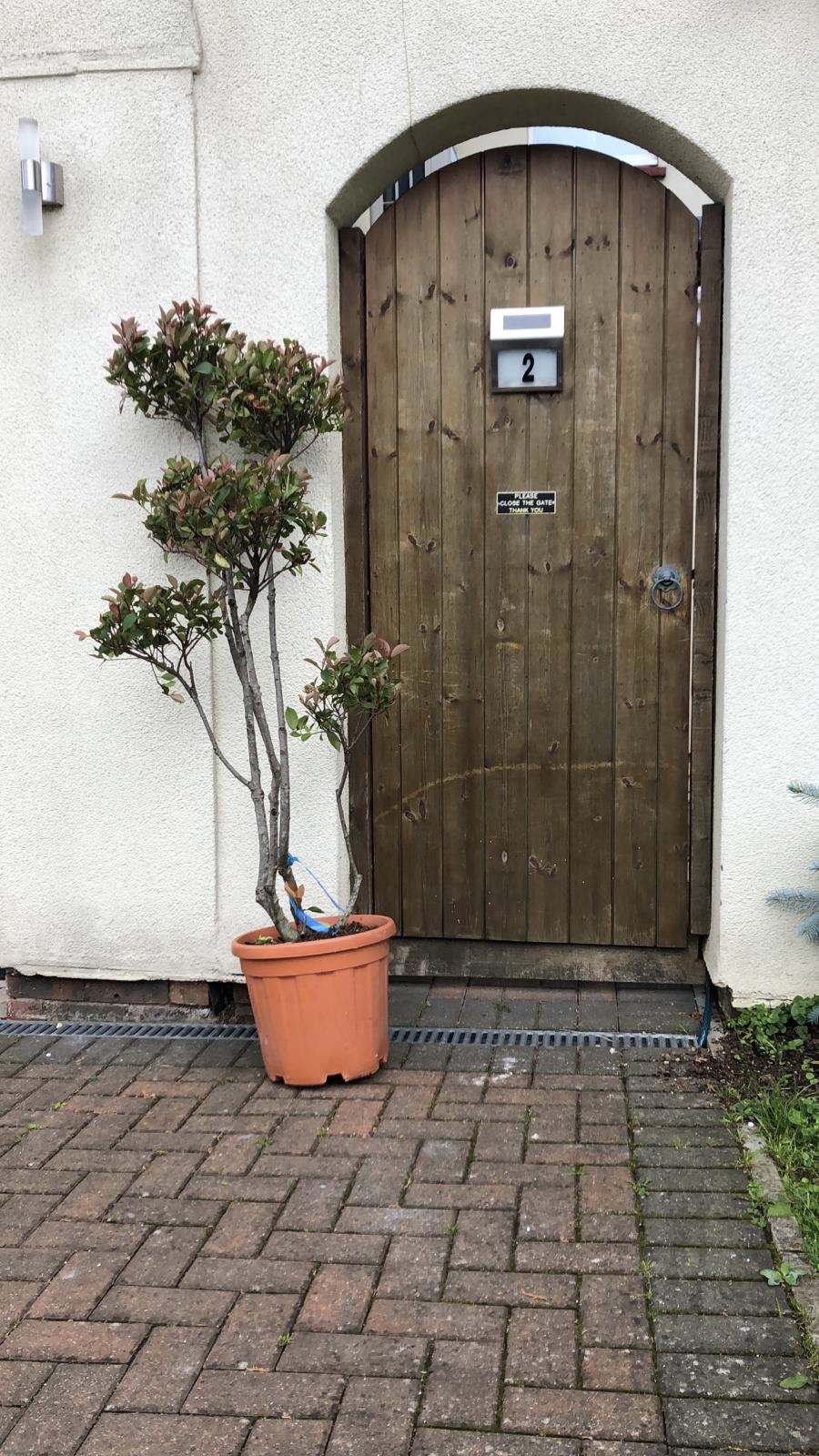 Colin Stocker – Garden Plants Online