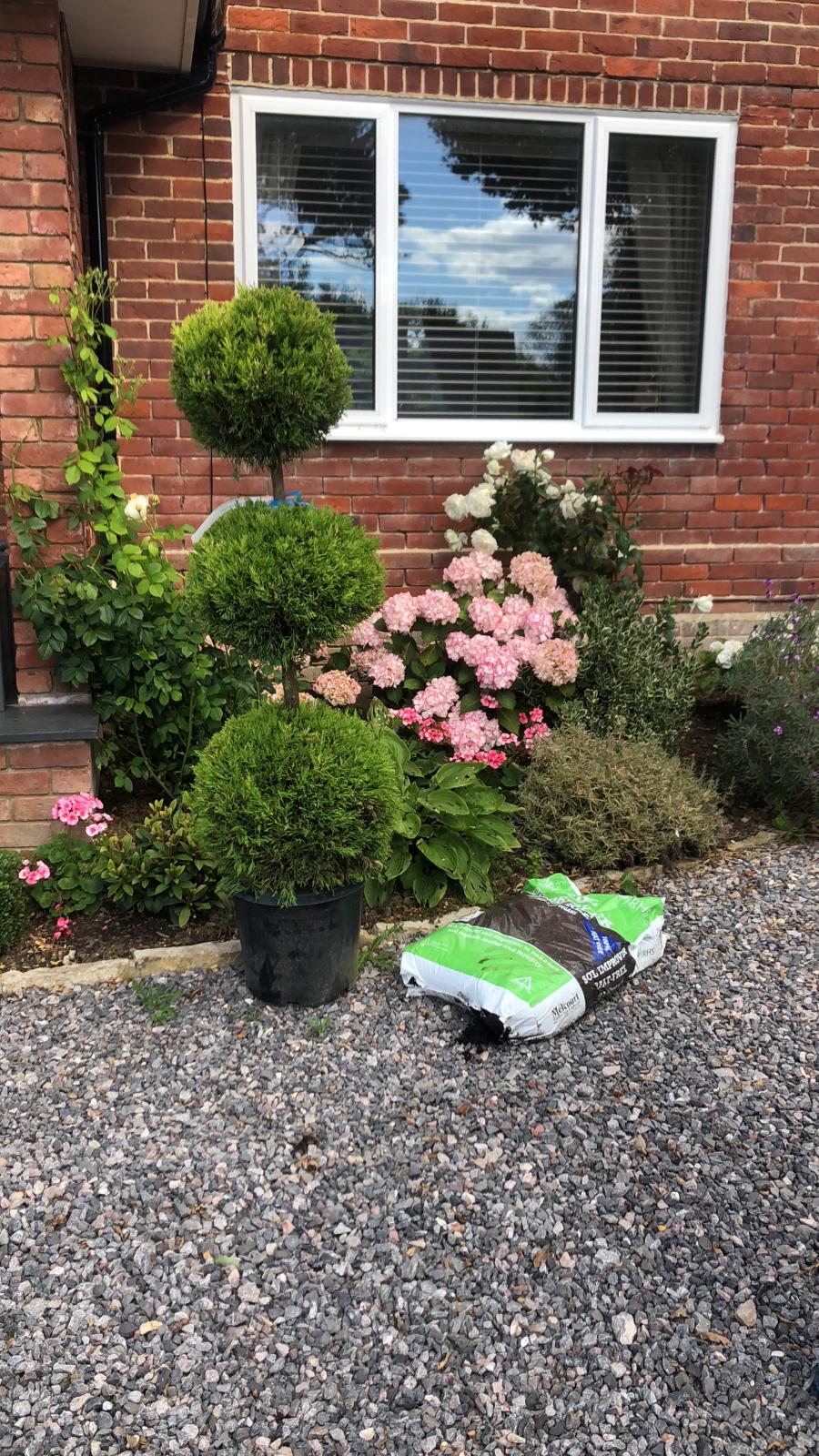 Linda Redmond – Garden Plants Online