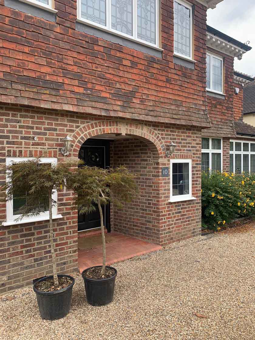 James Weigall – Garden Plants Online