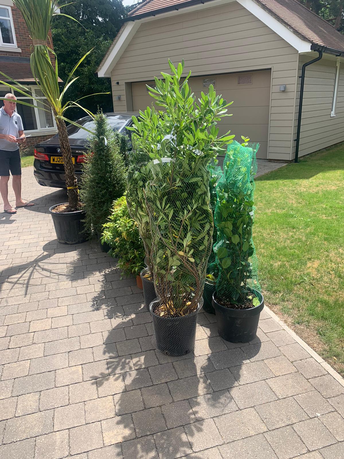 Mark Wood – Garden Plants Online